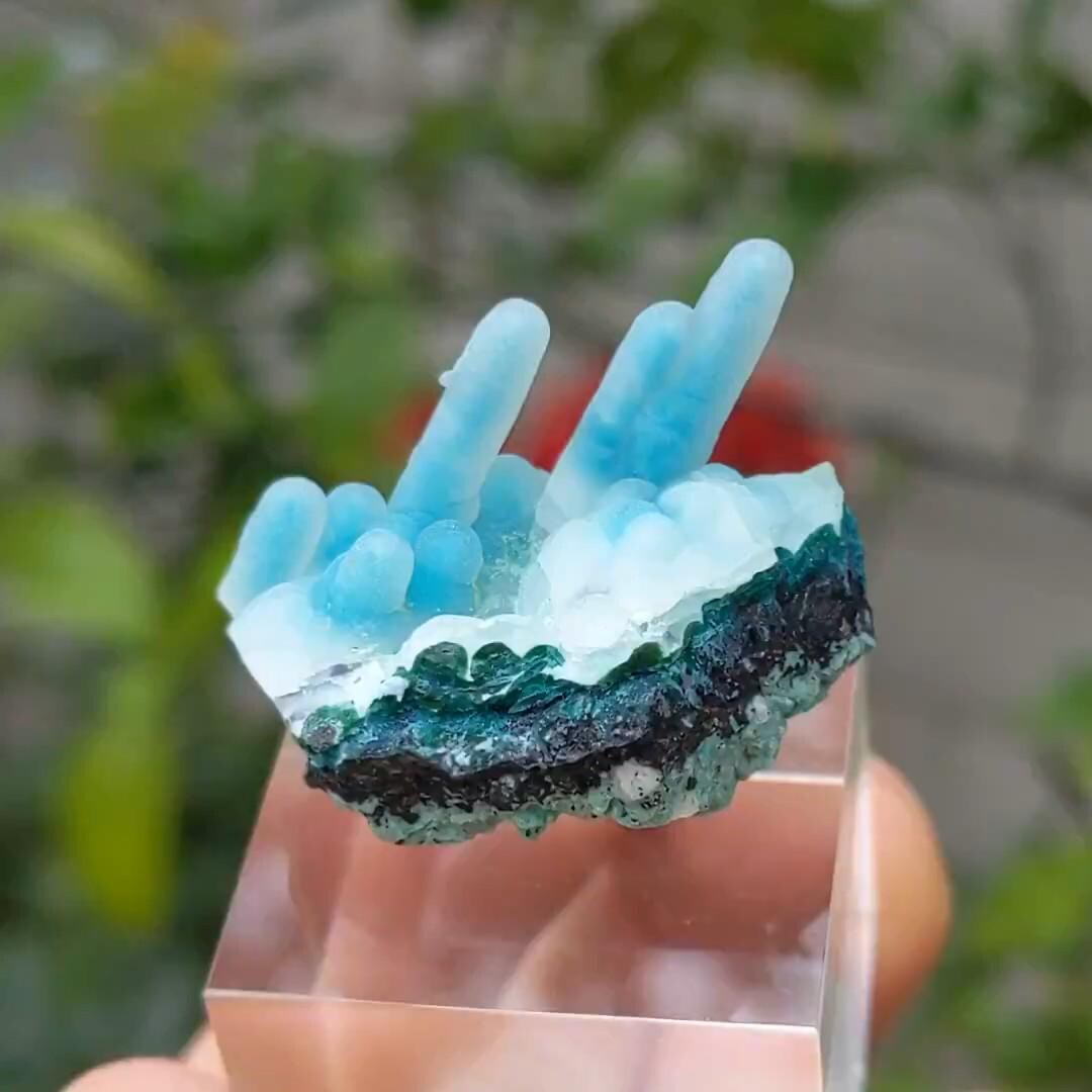 Alien Gem Silica Chrysocolla Stalactites, Ray Mine, Pinal Co., Arizona ...