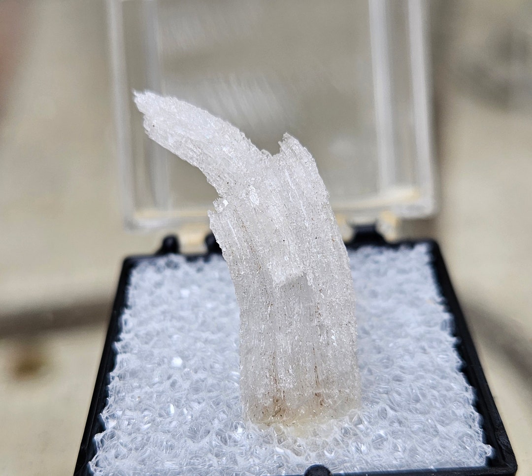 Sparkly Rams Horn Gypsum, Santa Eulalia, Mexico - Etsy