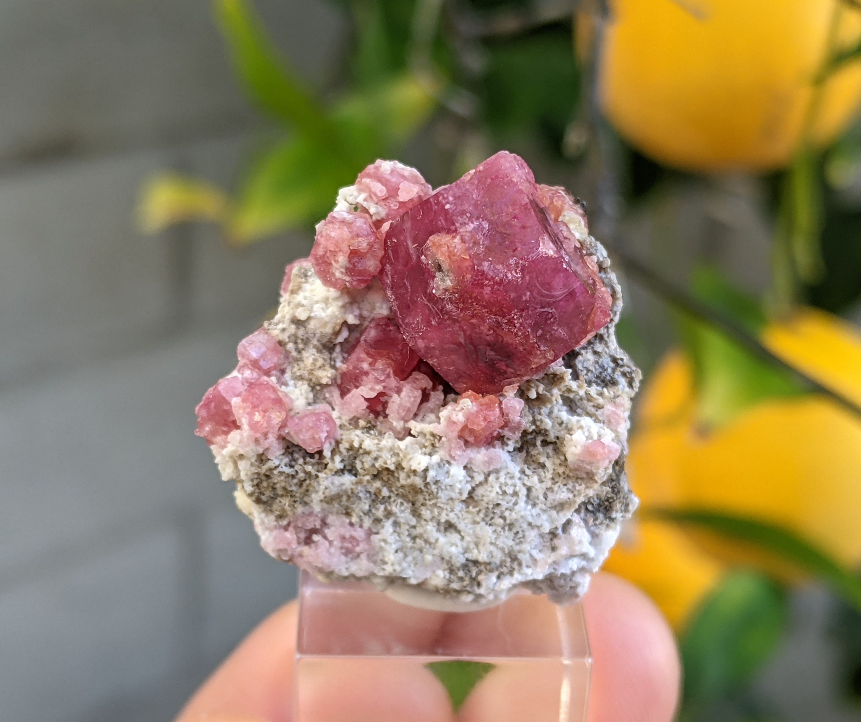 Superb Raspberry Grossular Garnet, Sierra De Cruces, Mexico - Etsy