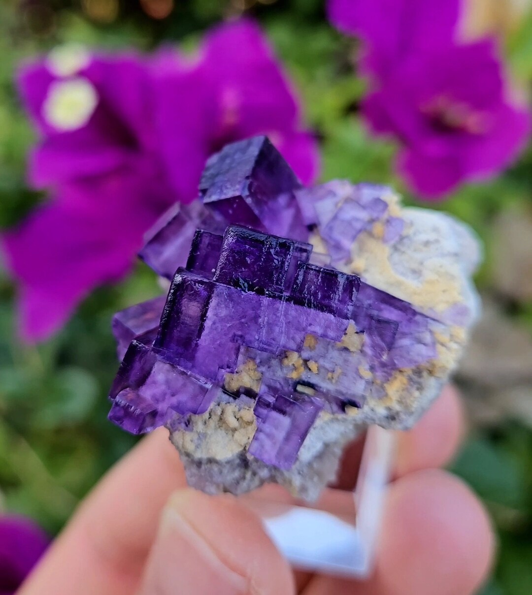 Intense Purple Fluorite on Barite Matrix, Cave-in-rock, Illinois - Etsy