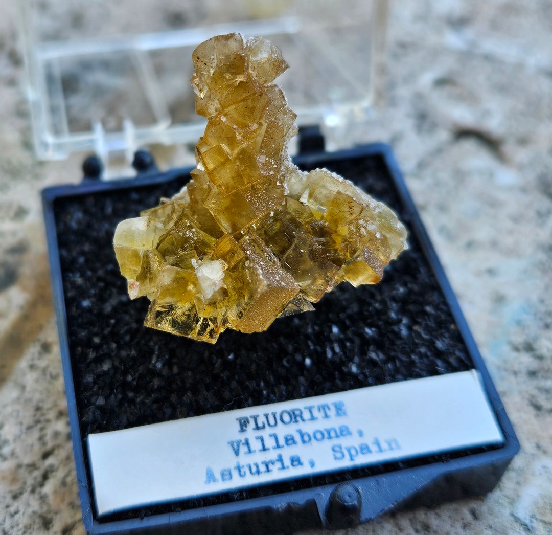Rare Golden Ex-willard Perkin Fluorite Crystal, Villabona, Asturias ...