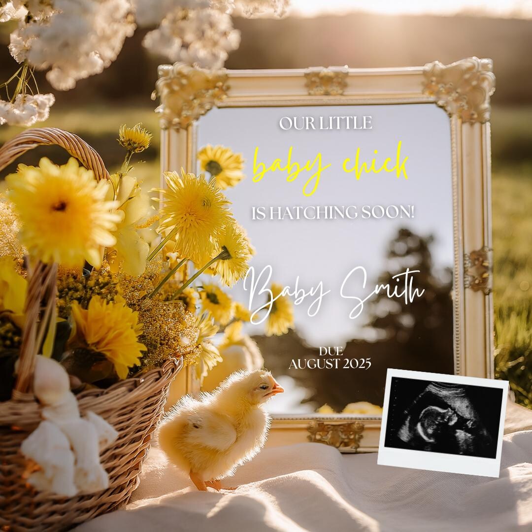 New to the Coop, Chicken Theme Pregnancy Announcement, Baby Chick ...