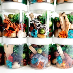 Zoo Playdough Jars, Safari Party Favors, Jungle Birthday Favors, Wild ...