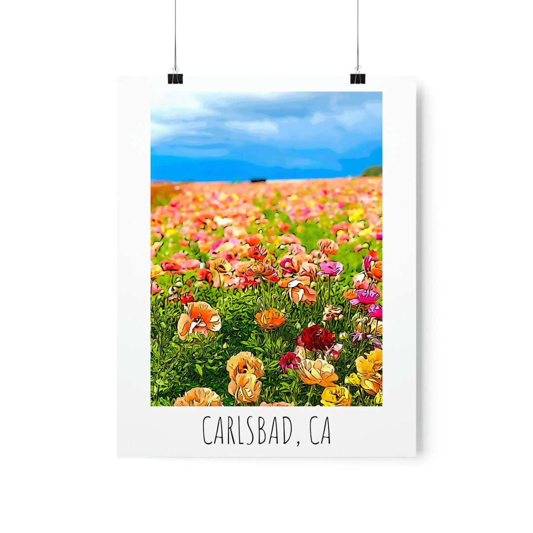Carlsbad (carlsbad, CA), Carlsbad Flower Fields, Carlsbad Poster ...