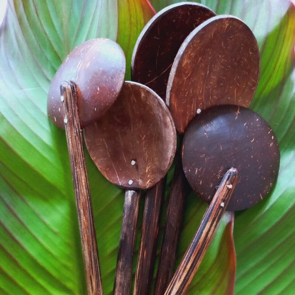 Coconut Shell Sri Lanka - Etsy