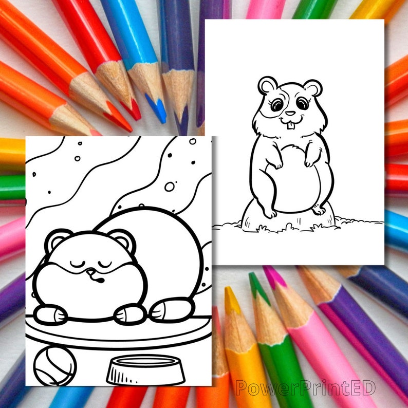 15 HAMSTER Coloring Pages/ Hamster Coloring Sheet/ Hamster Coloring ...
