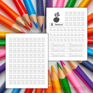 Alphabet Handwriting Workbook / Track the Letter/ Printable Worksheets ...