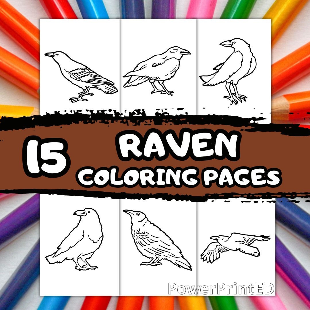 15 RAVEN Coloring Pages / Bird Coloring Pages / Kid Coloring Pages ...