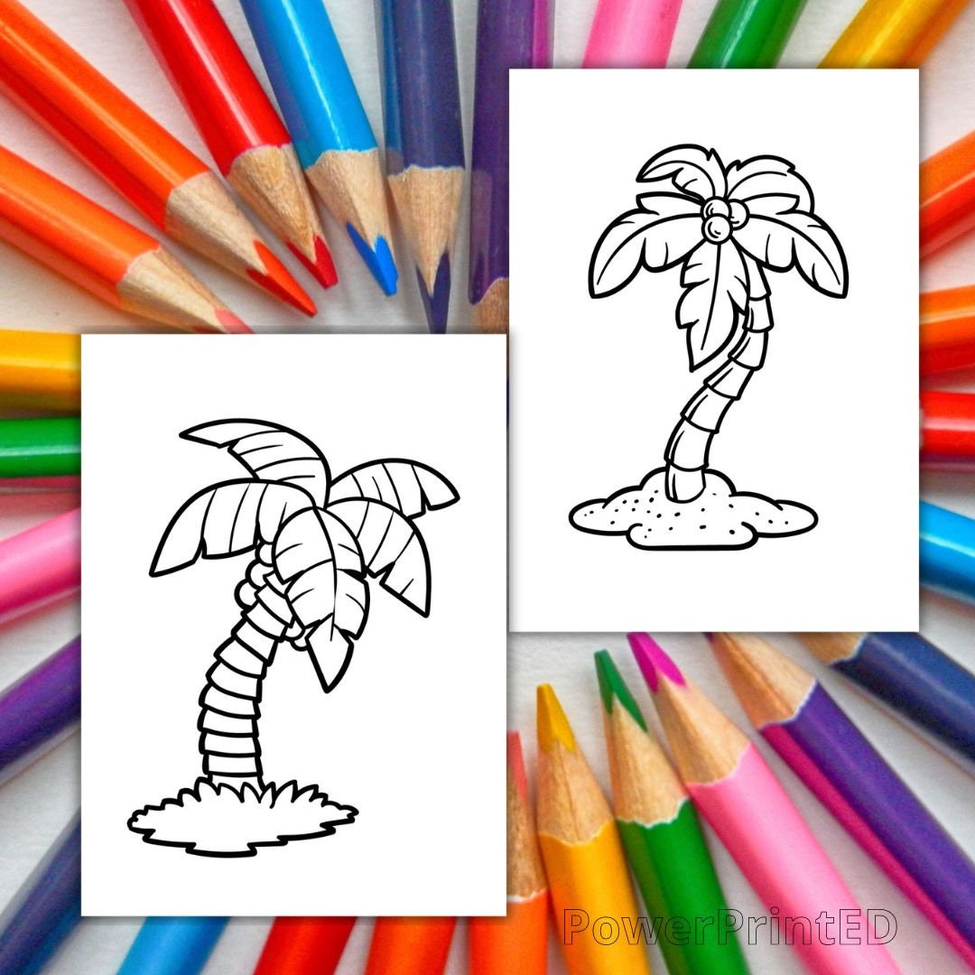 15 PALM TREE Coloring Pages/ Coloring Pages for Kids/summer Coloring ...