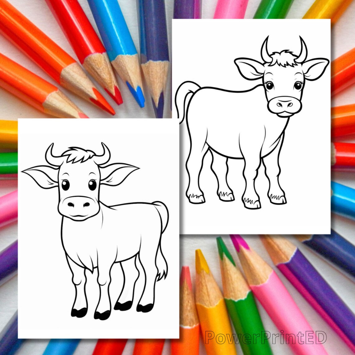 15 COW Coloring Pages/ Animal Coloring Pages/ Kid Coloring Pages ...