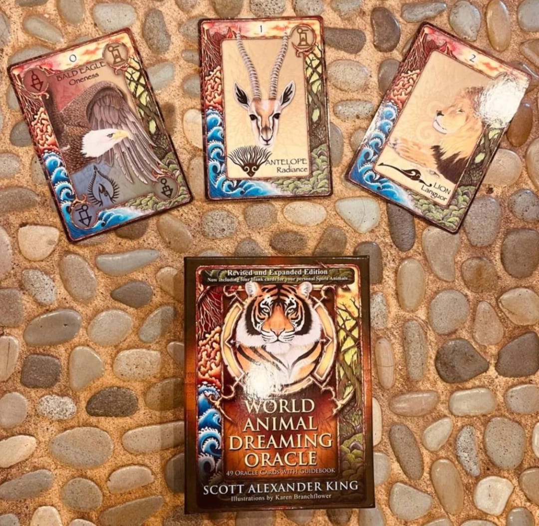 CARD DECK!! World Animal Dreaming Oracle Deck and Guidebook Set (49 ...