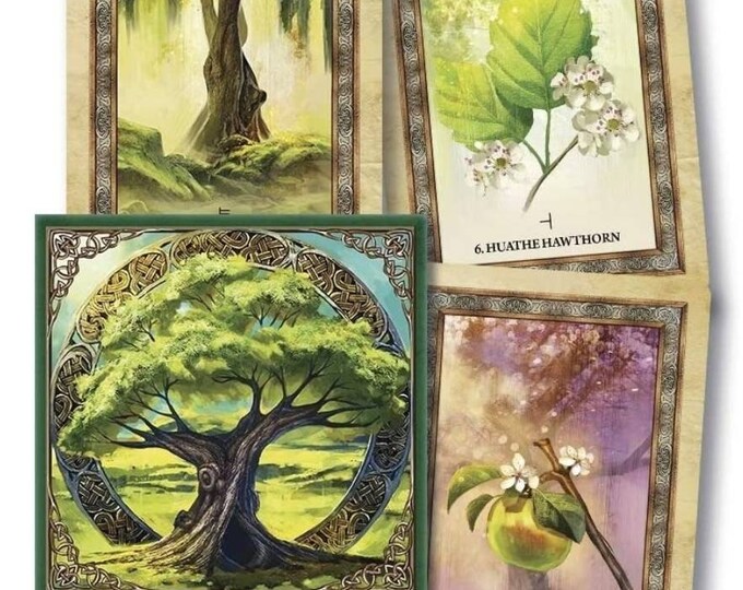 CARD DECK Celtic Tree Oracle Deck and Guidebook Set 25 Cards & 115 ...