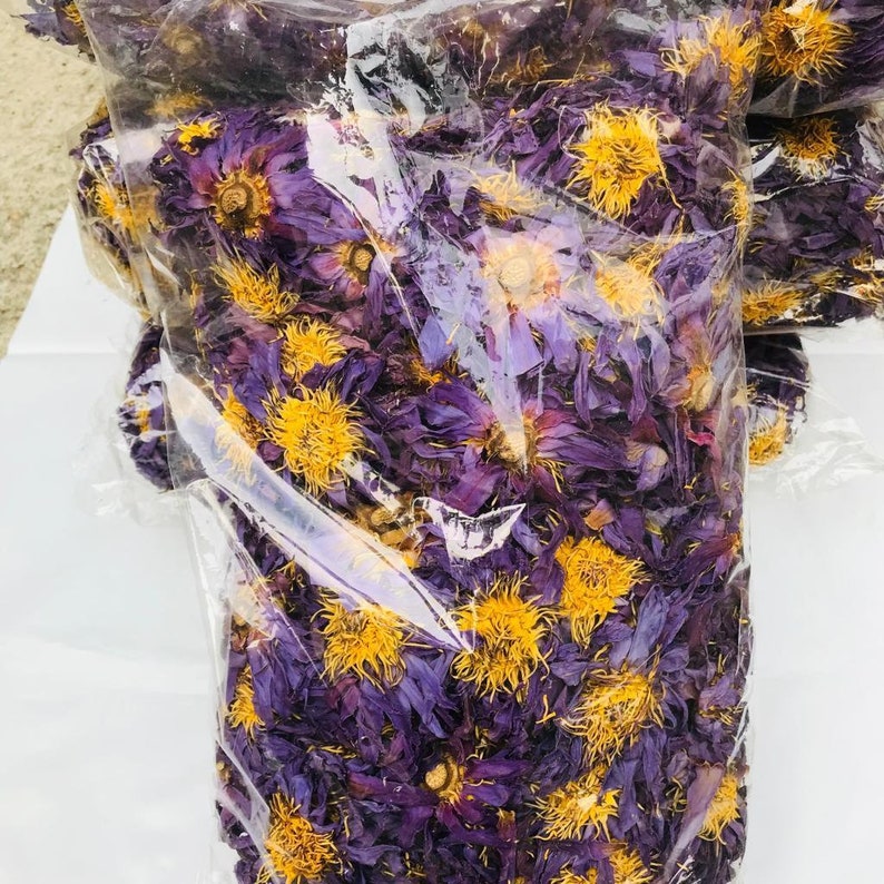 100% Organic Egyptian Blue Lotus Flowers Nymphaea Caerulea Sacred Water ...