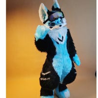 Full Body Fursuit - Etsy