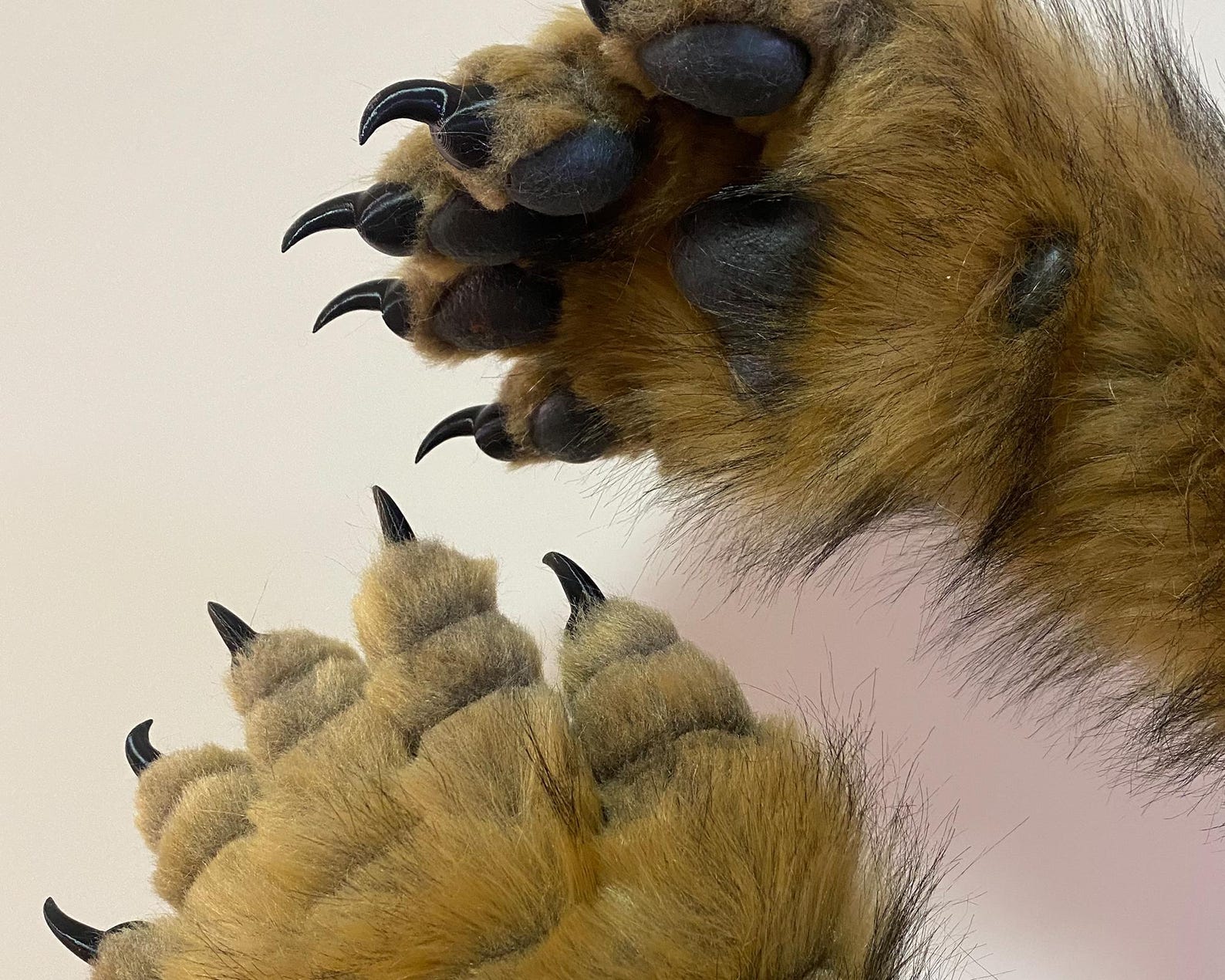 Realistic Fursuit Paws: Five Finger Animal Gloves - Cosplay Costume - Etsy
