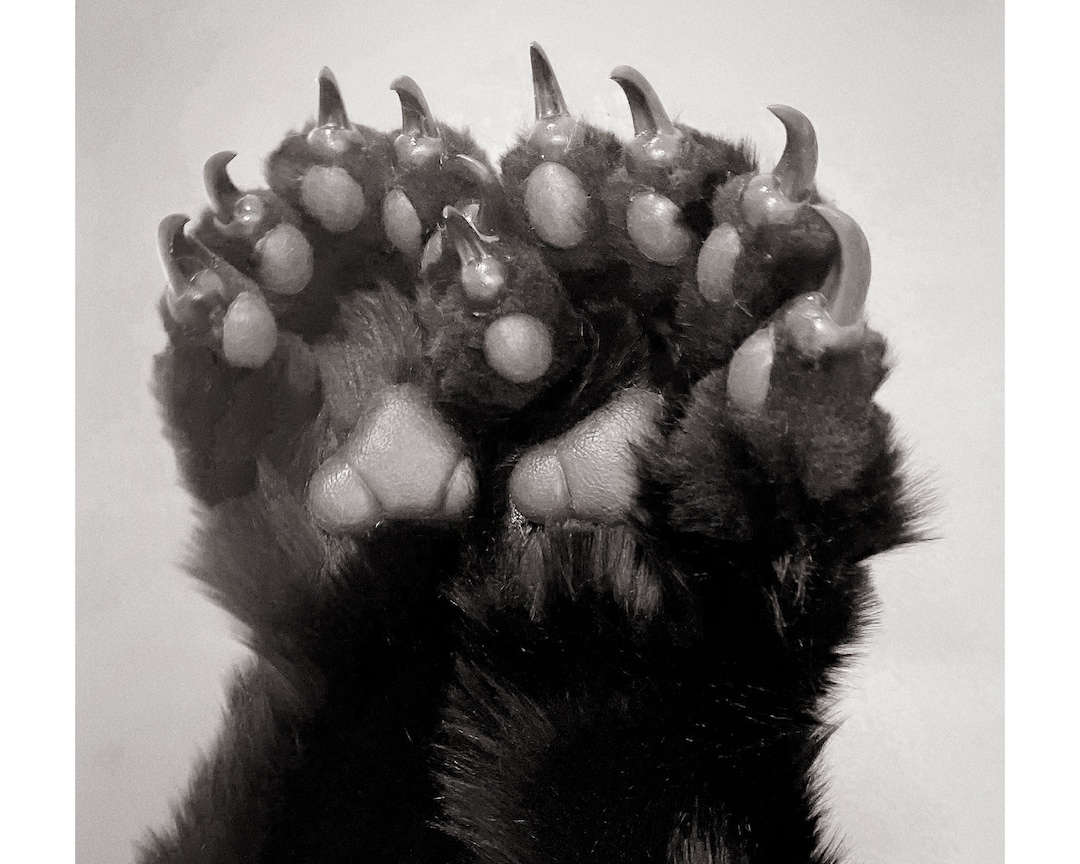 Fursuit Five Finger Realistic Version Paws - Animal Bear Lion Tiger ...