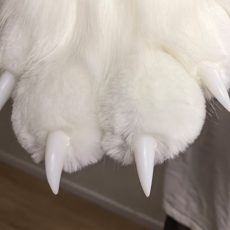 Furry Paws - Etsy Canada