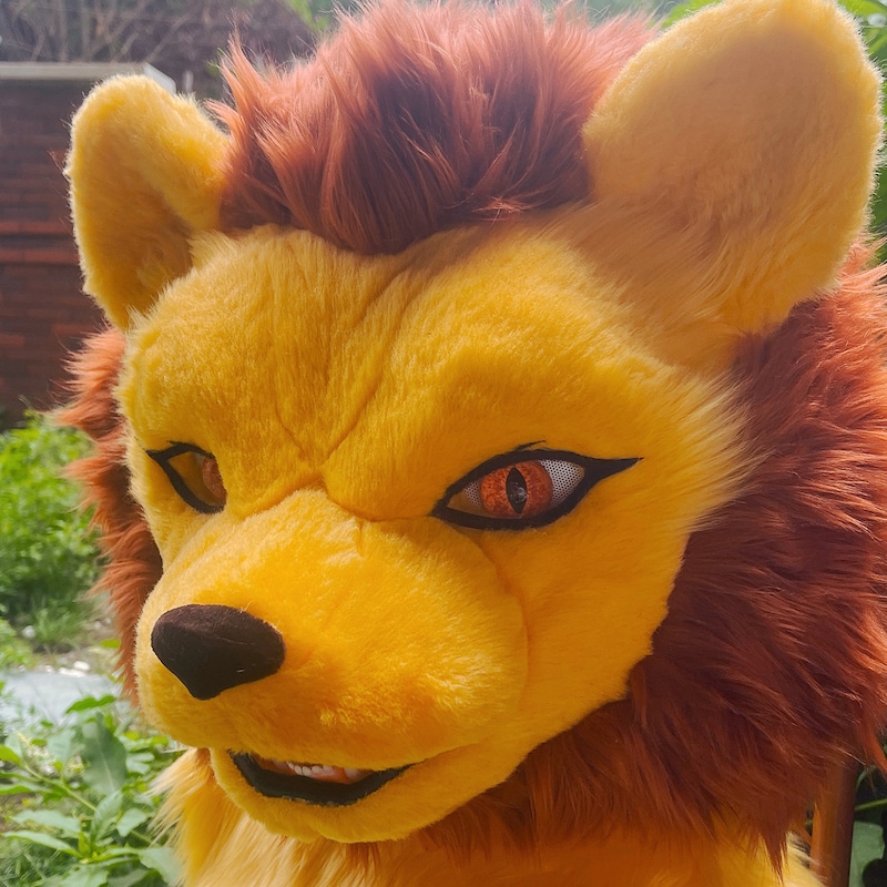 Quad Fursuit - Etsy
