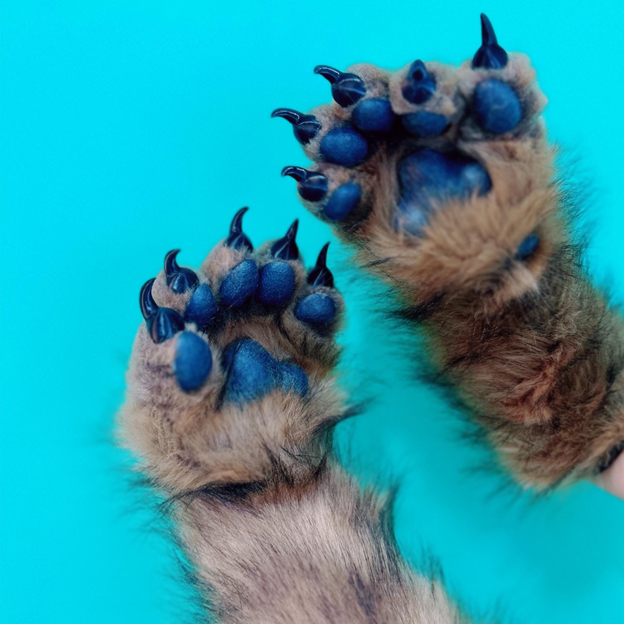 Realistic Fursuit Paws: Five Finger Animal Gloves - Cosplay Costume - Etsy