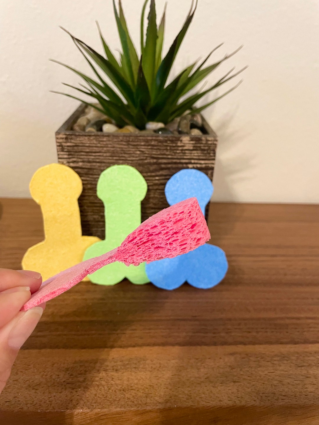 Penis Sponges 4 Pack, Funny Adult Gag Gift, Housewarming Present ...