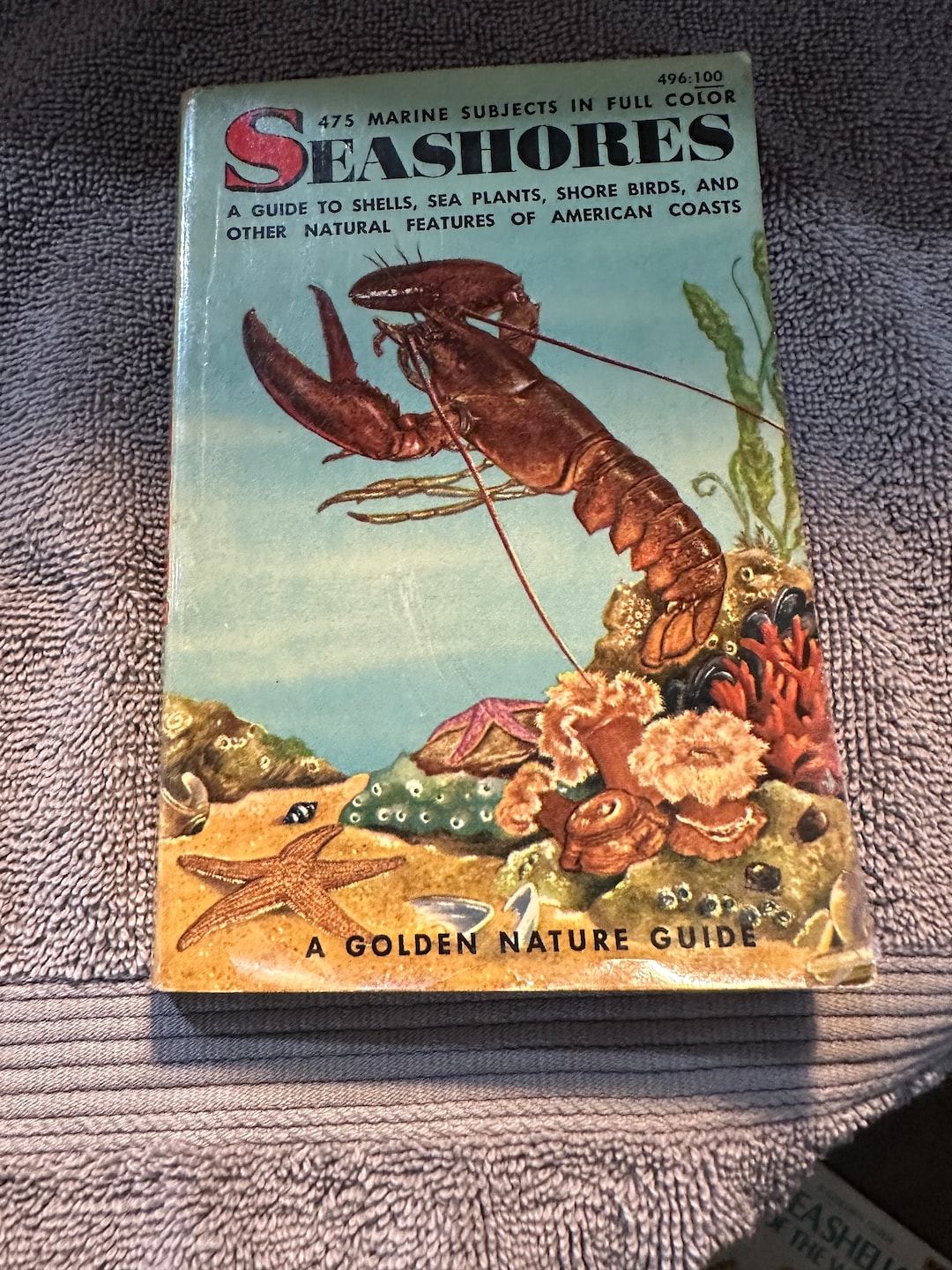 Vintage 1955 Seashores A Golden Nature Guide Book 475 Marine Fullcolor ...