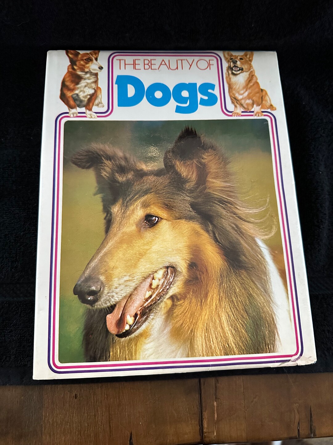 Vintage 1972 the Beauty of Dogs By: Kenneth Bailey HC/DJ - Etsy