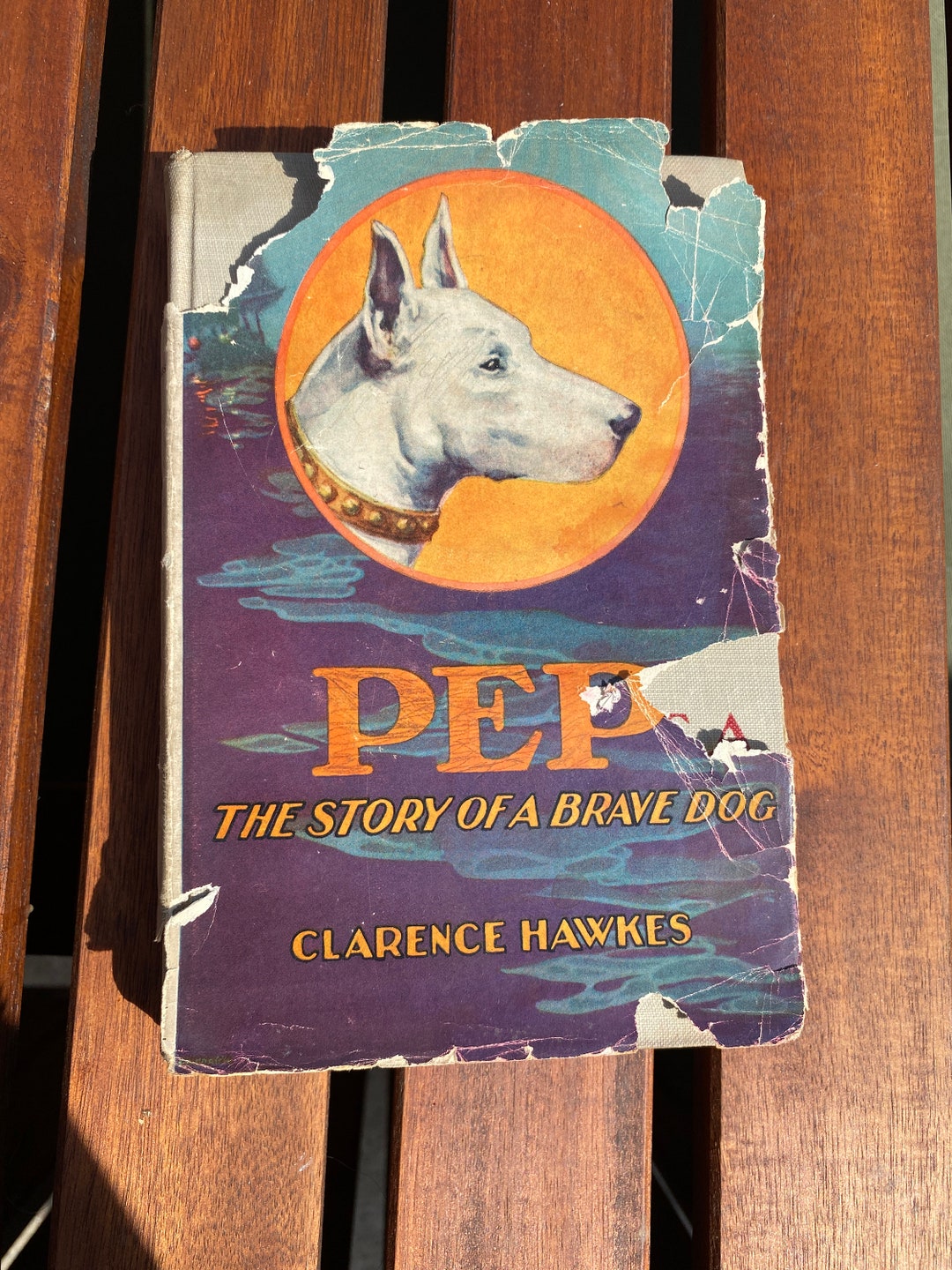 Pep, the Story of a Brave Dog by Clarence Hawkes 1922 Illus. William Van Dresser - Etsy