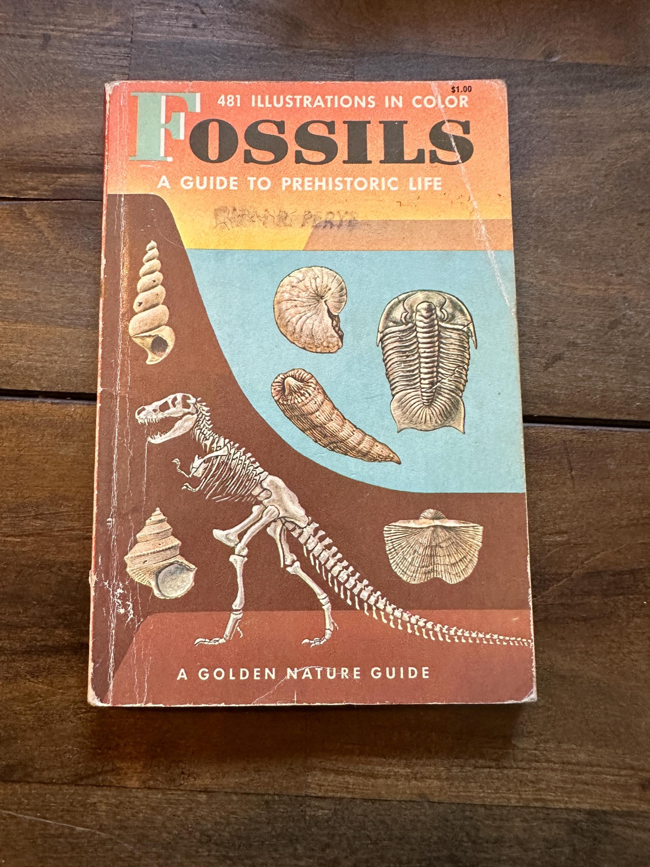 Fossils: A Guide to Prehistoric Life. Golden Nature Guide paperback ...