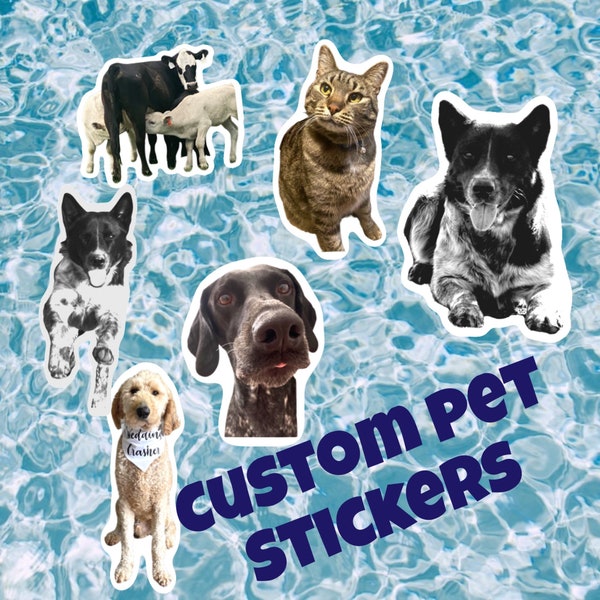 Photo Stickers - Etsy