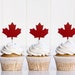 Canada Day Cupcake Toppers, Canada Birthday Cake Topper, Canada Theme ...
