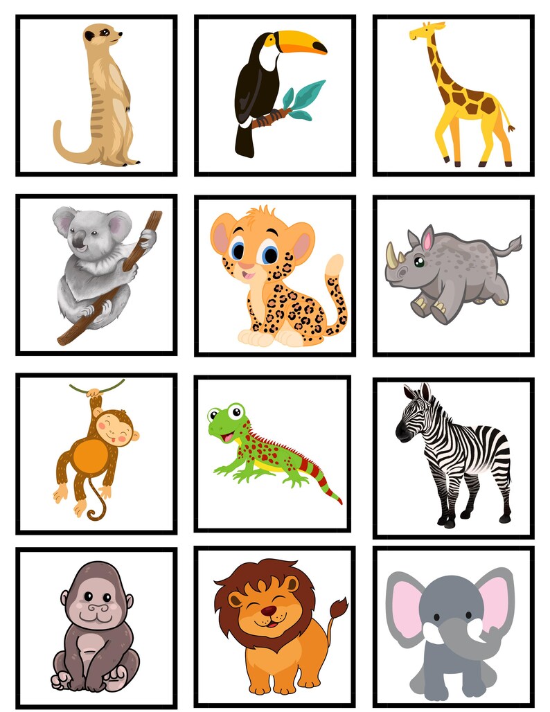 Habitat Matching Activity - Etsy