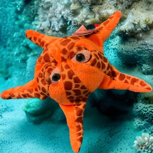 TY WISH & SUNRAY, Starfish and Stingray, Original Beanie Babies ...