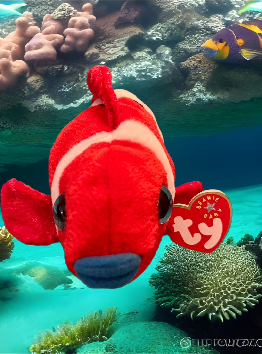 TY JESTER FISH, Original Beanie Babies Collection, Plush Animal Toy - Etsy