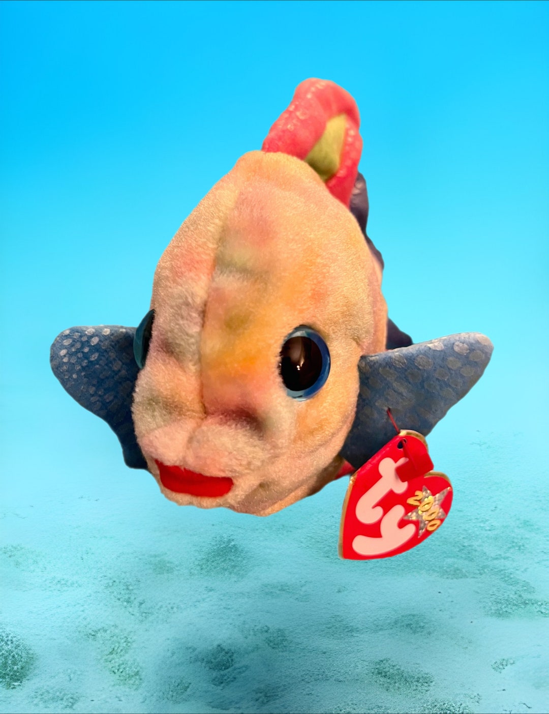 TY ARUBA TROPICAL Fish, Original Beanie Babies Collection, Stuffed ...