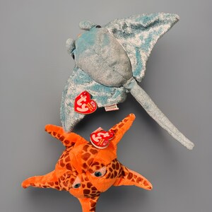 TY WISH & SUNRAY, Starfish and Stingray, Original Beanie Babies ...