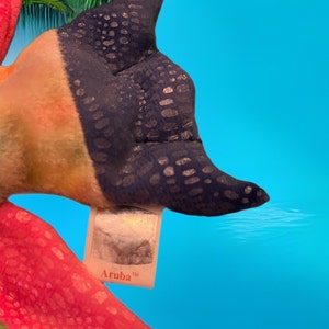 TY ARUBA TROPICAL Fish, Original Beanie Babies Collection, Stuffed ...