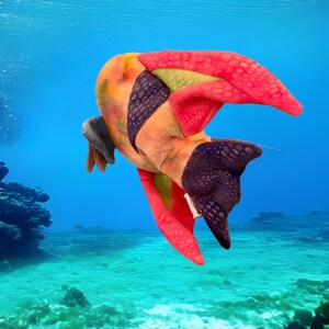 TY ARUBA TROPICAL Fish, Original Beanie Babies Collection, Stuffed ...