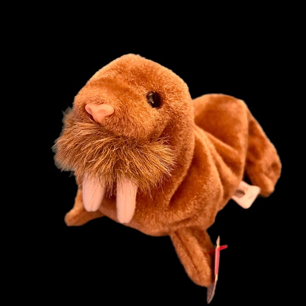 Walrus - Etsy