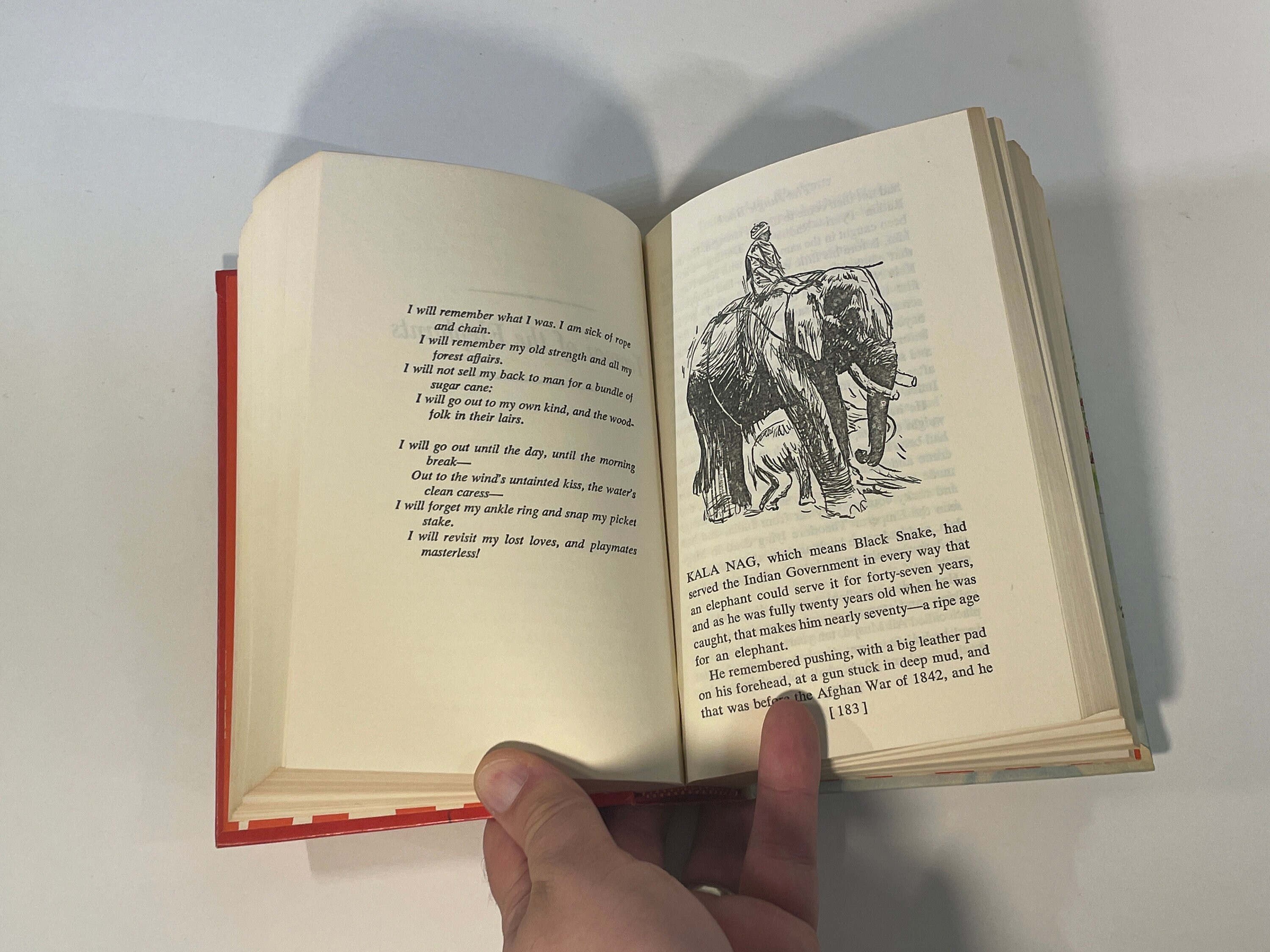 1963 Companion Library Double Book the Wizard of Oz / - Etsy