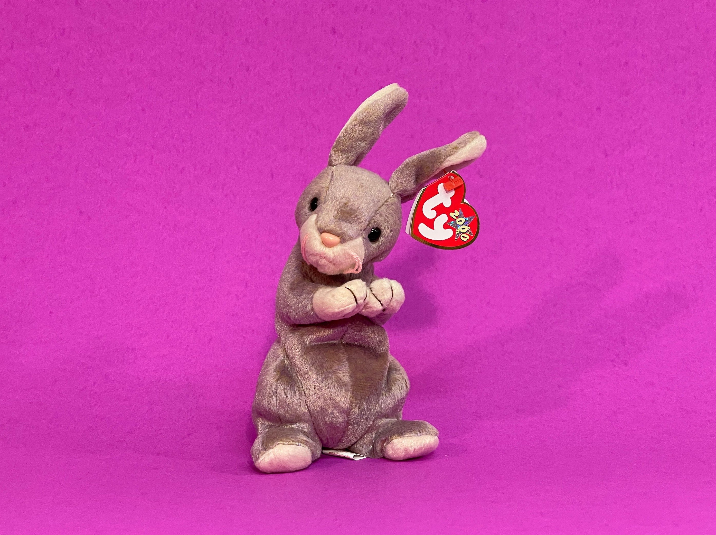 2000 Springy the Rabbit Ty Beanie Baby 4272 6th Gen Corazón | Etsy