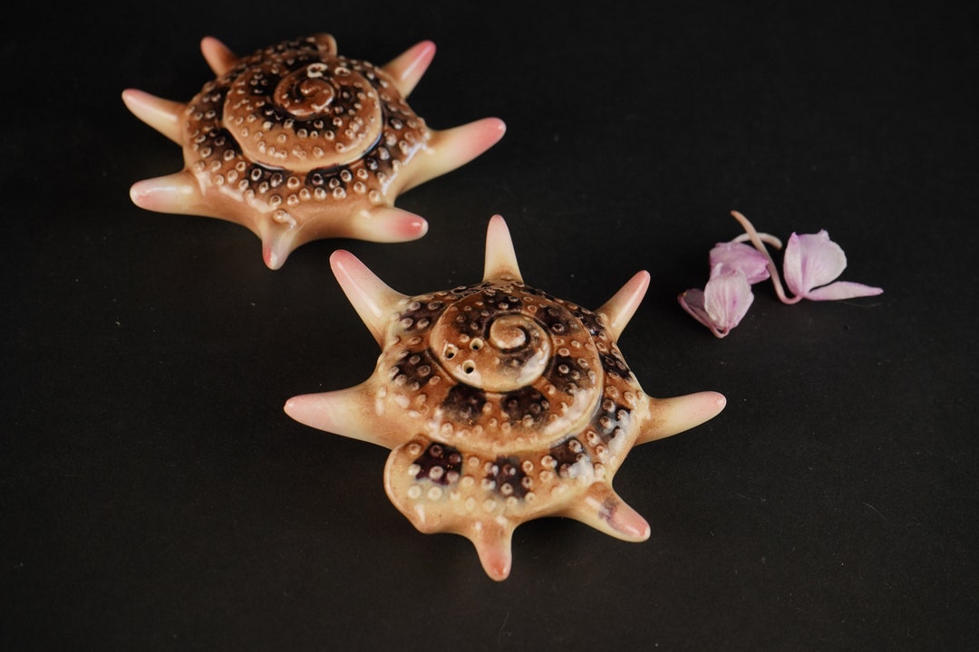 Vintage Sea Shell Salt and Pepper Shakers - Etsy