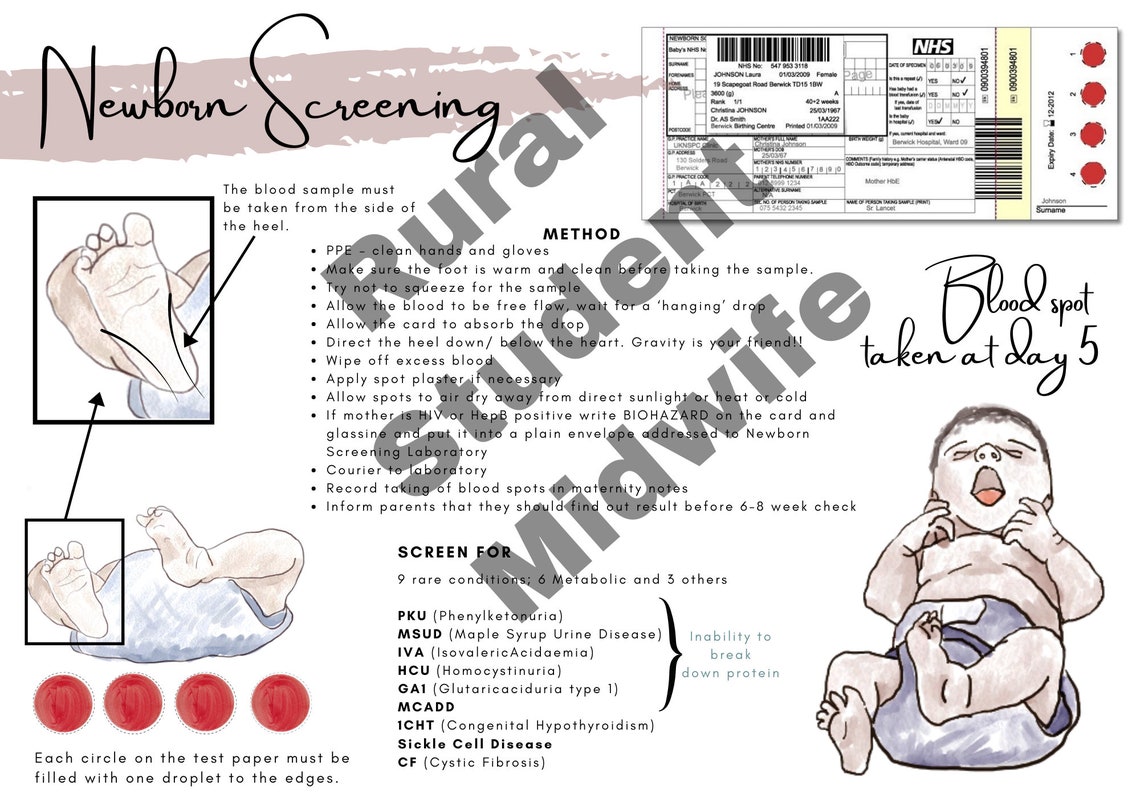 Newborn Screening Poster - Etsy