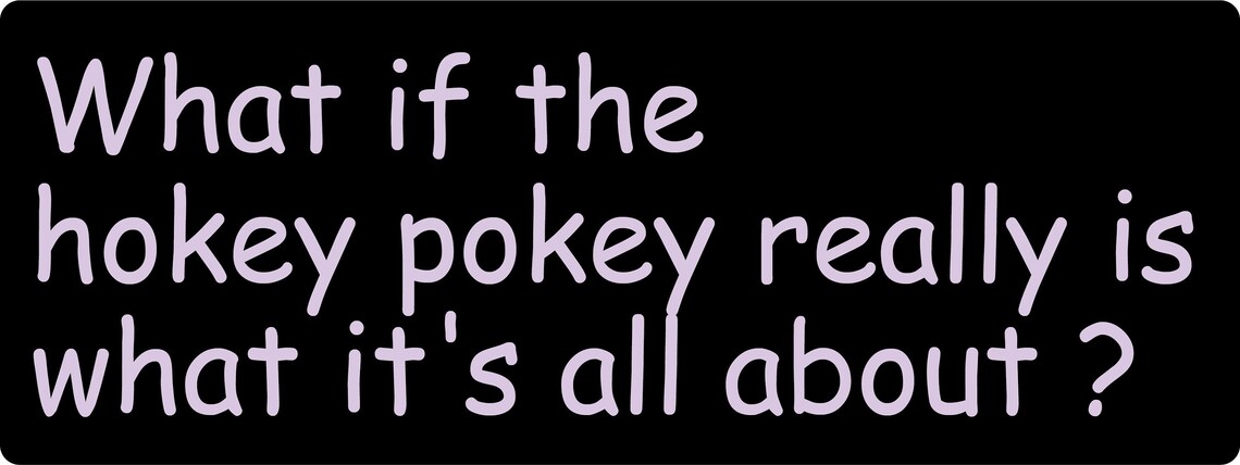 Hokey Pokey Funny Bumper Sticker - Etsy