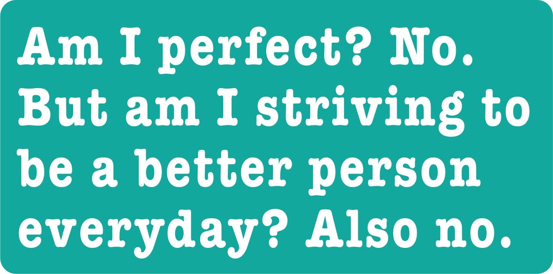 Am I Perfect Funny Bumper Sticker - Etsy