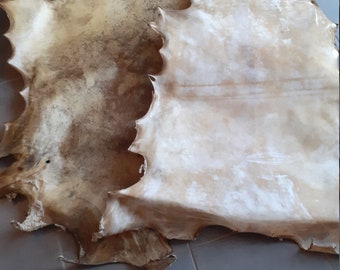 Rawhide Leather | Etsy