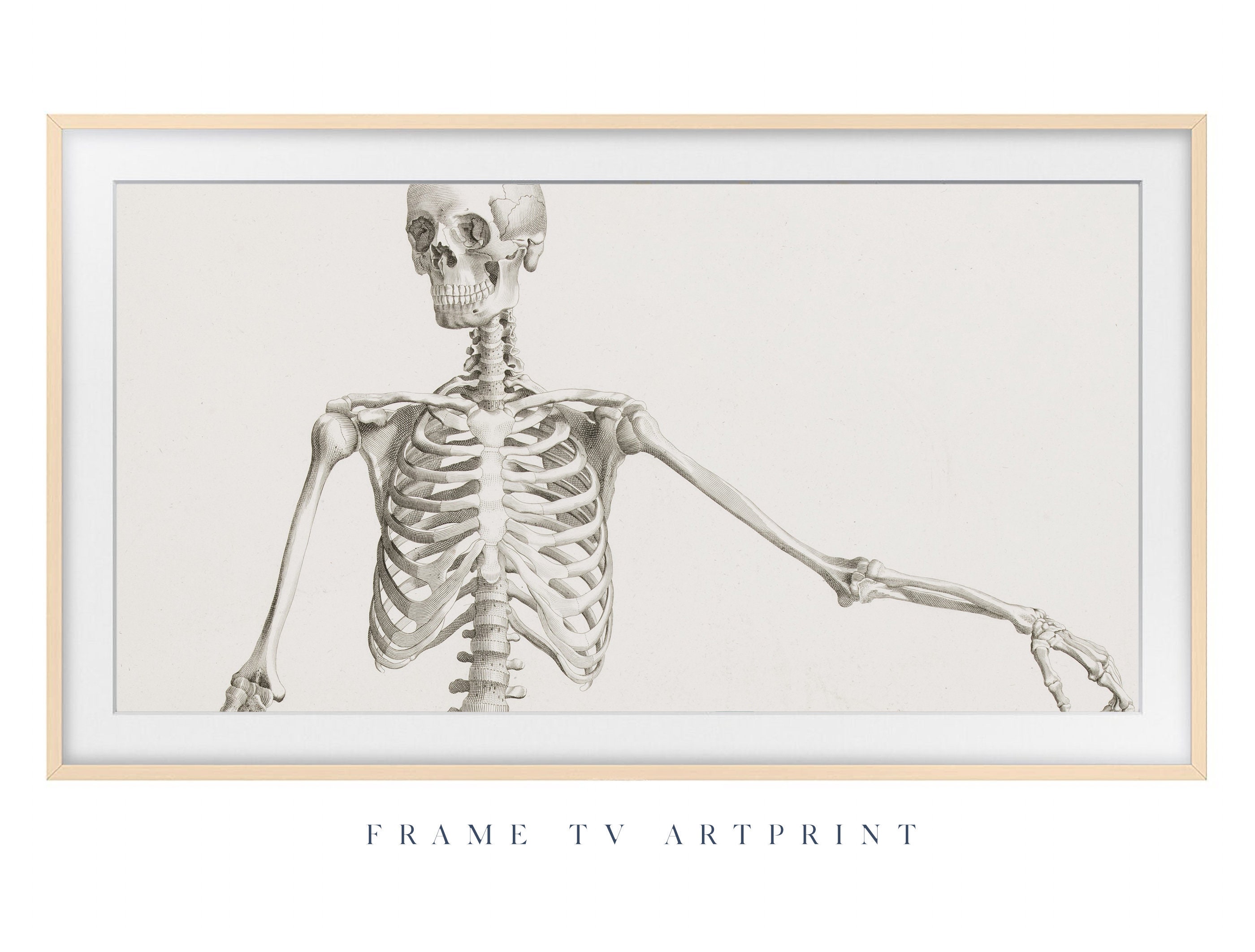 Samsung Frame TV Art Vintage | "skeleton" | Halloween | Traditional ...