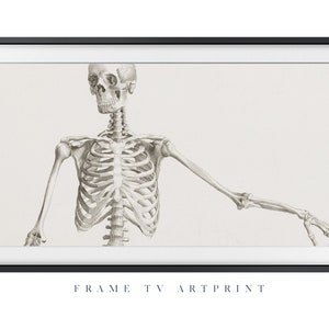 Samsung Frame TV Art Vintage | "skeleton" | Halloween | Traditional ...