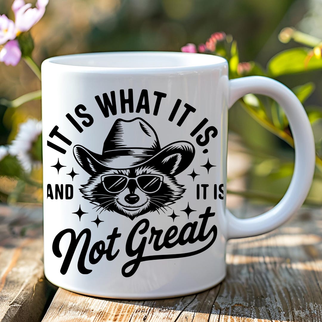 It is What It is Mug: Funny Raccoon Meme Birthday Gift - Etsy