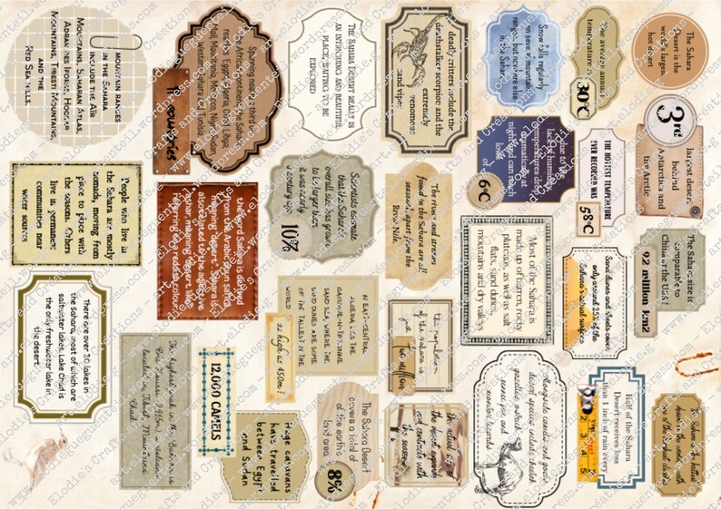 Desert-themed Labels With Fun Facts About the Desert for - Etsy