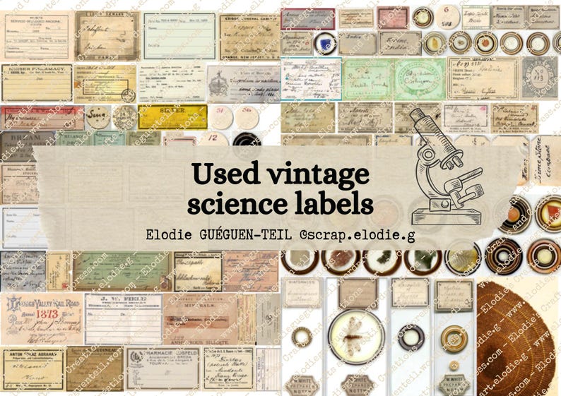 Vintage Science Labels 2 Pages of Fussy Cut Labels - Printable ...